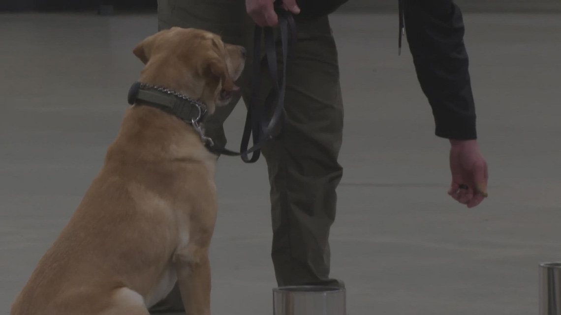 ATF K-9 units receive explosive-detection training at Kentucky Expo ...