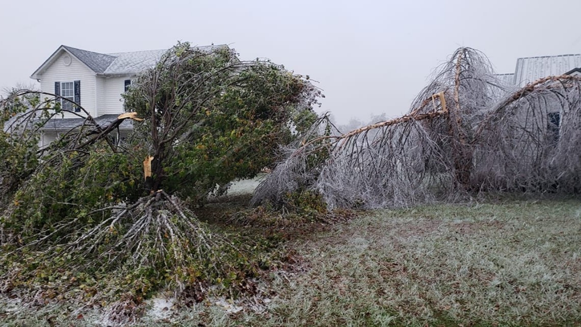 If an ice storm damages your trees, here's how you can salvage them ...