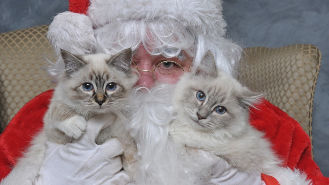 Your pet gets a picture with Santa, you get to help homeless animals ...
