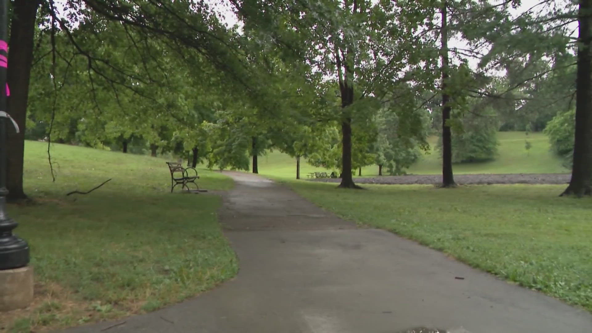 Louisville launches urban forest inventory project | whas11.com