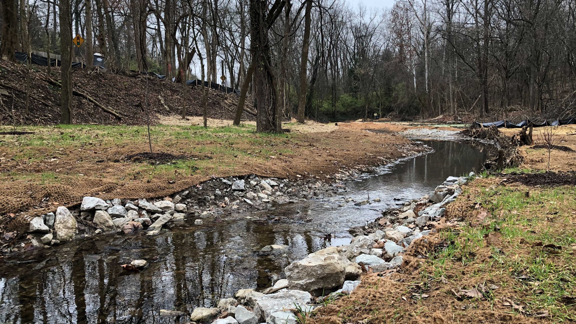 MSD completes stream, wetland restoration project in Louisville ...