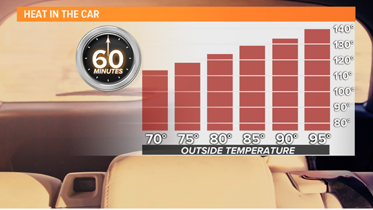 The heat is on: how hot common outdoor surfaces can get in the summer ...