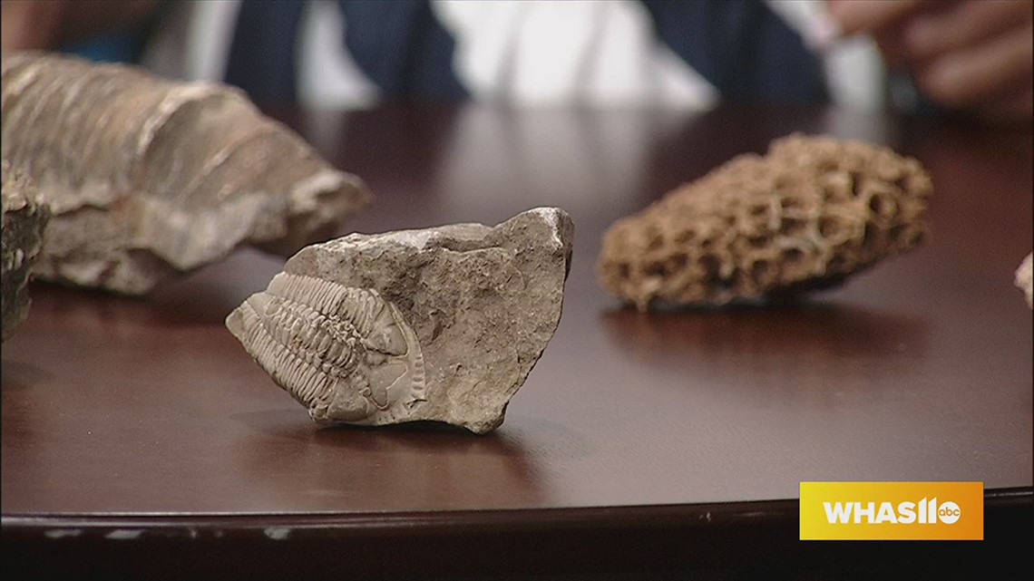 Take a Deep Dive into Ancient History at the Falls of the Ohio State ...