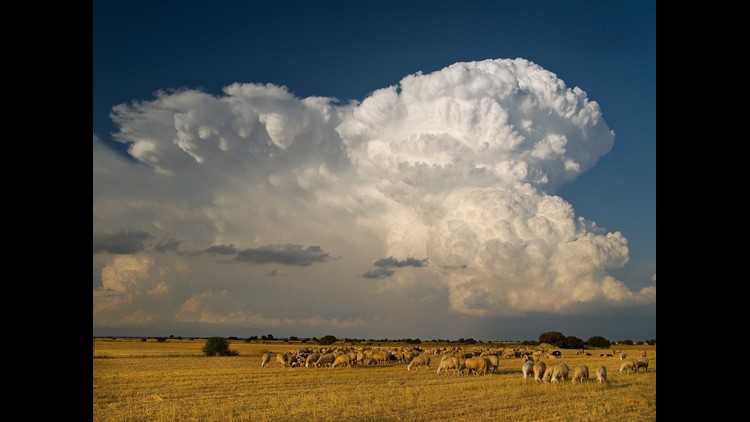 Storms: Supercells, Cumulonimbus, updraft, downdraft, anvil | whas11.com