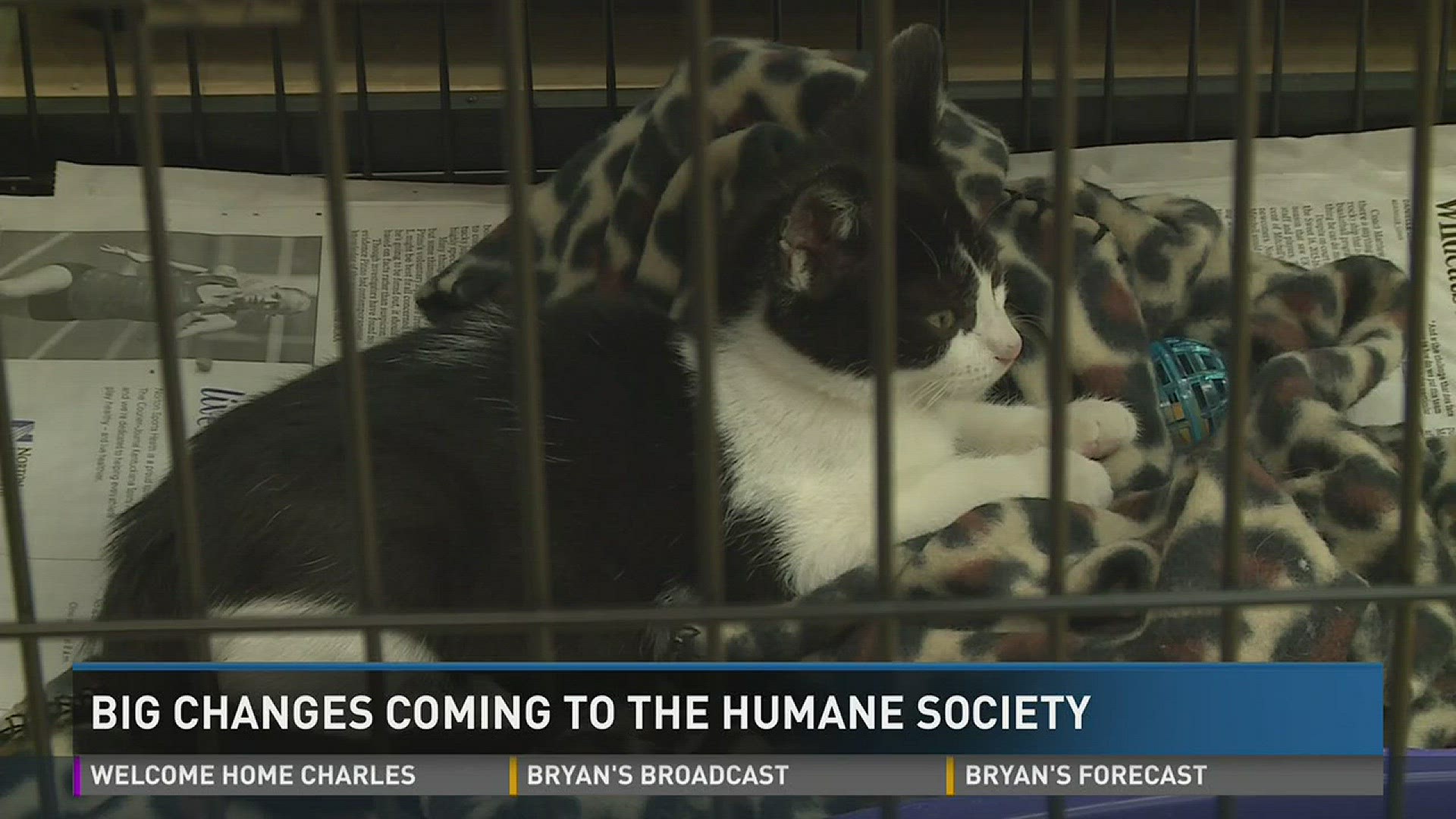Big changes coming to Kentucky Humane Society | whas11.com
