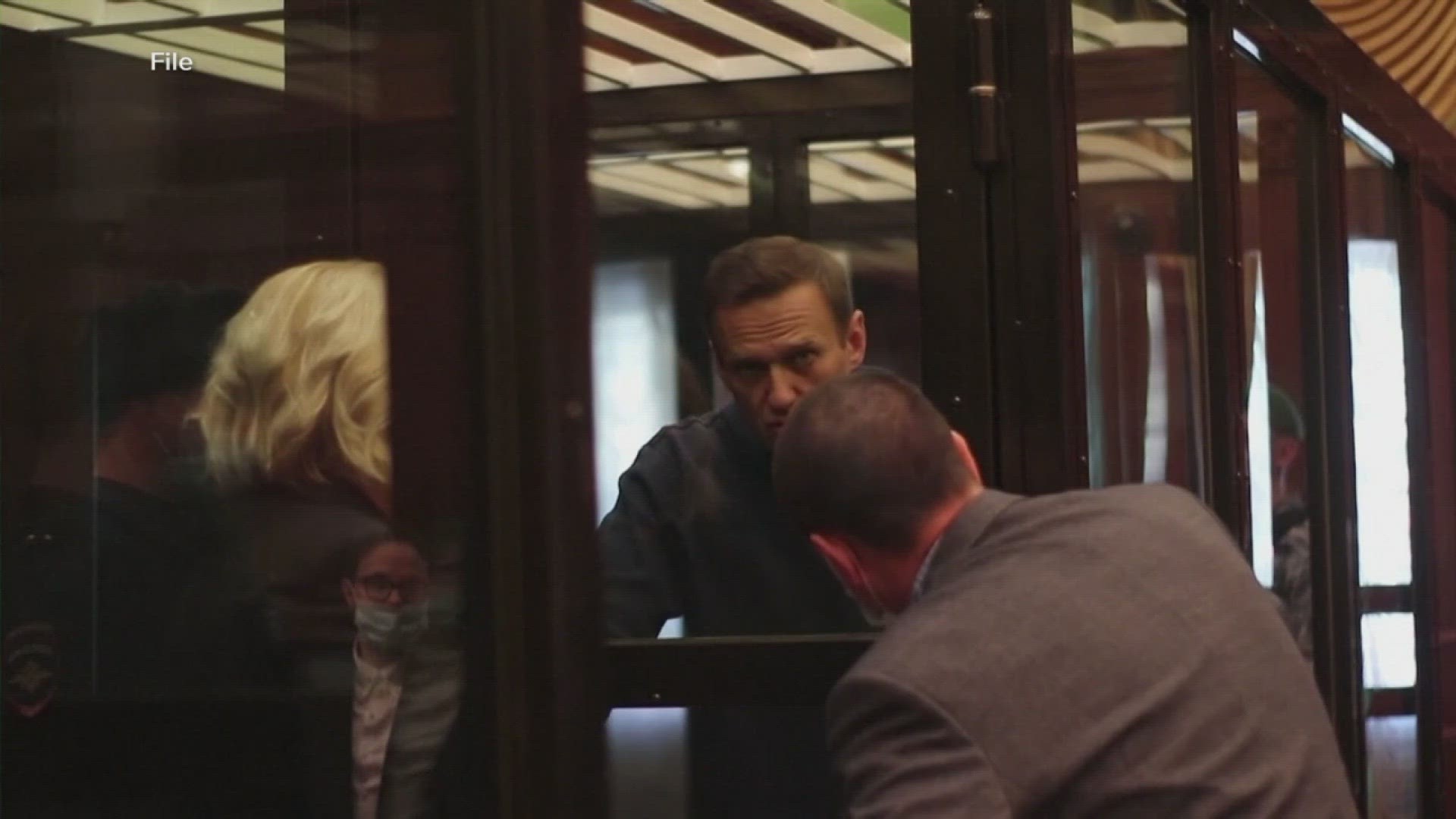 Nikki Haley calls out Trump for staying silent on Navalny's death ...