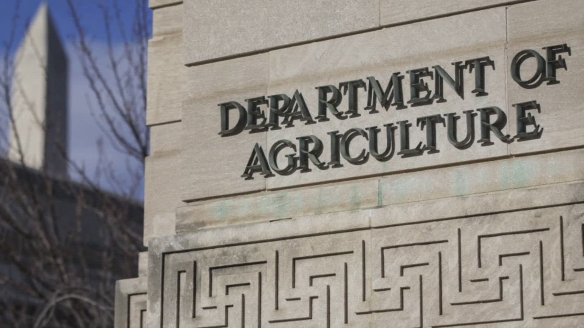 The Pentagon and IRS prepare for potential job cuts | whas11.com