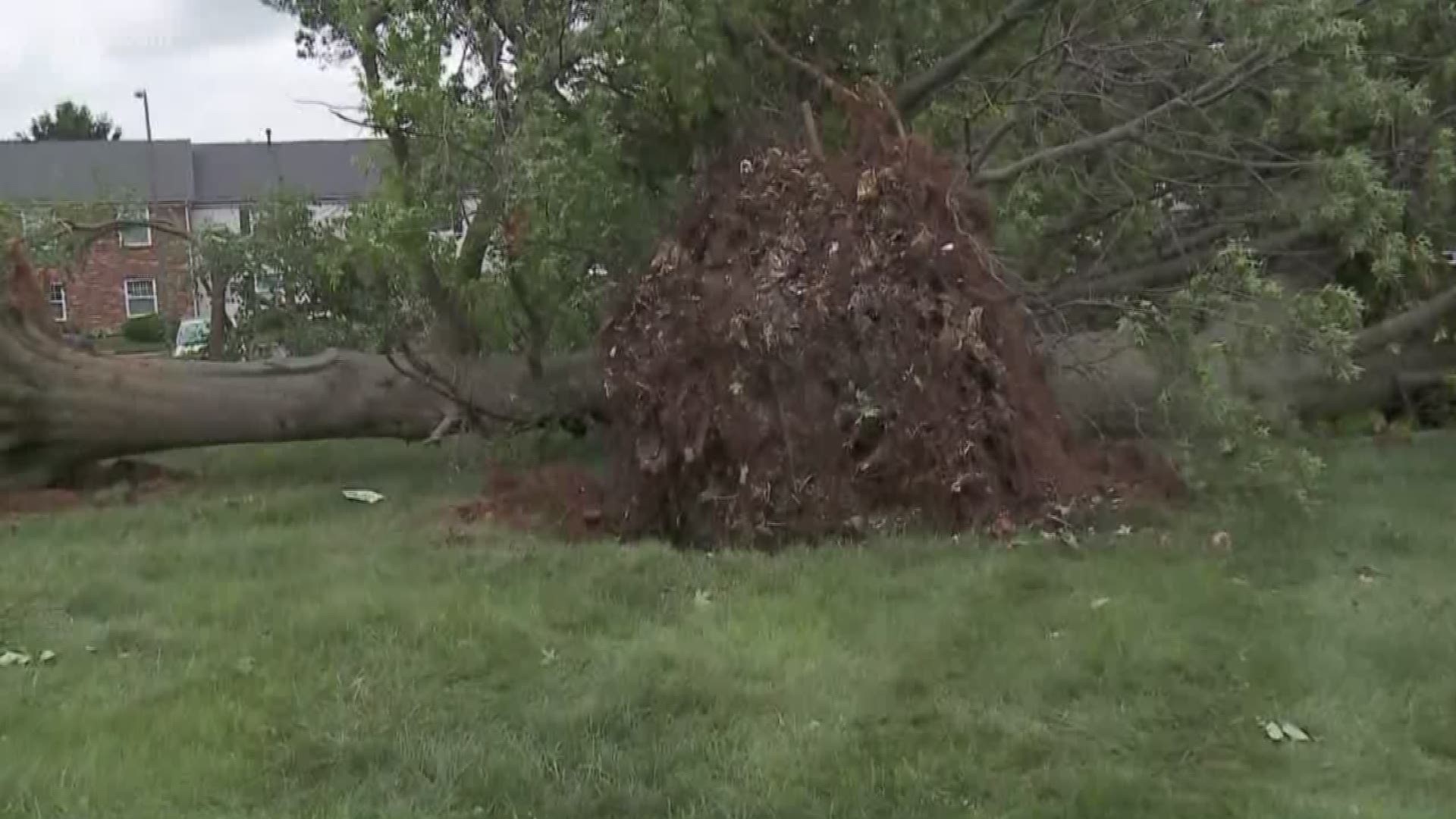 NWS confirms EF-1 tornado touched down in Jefferson County, Ky ...