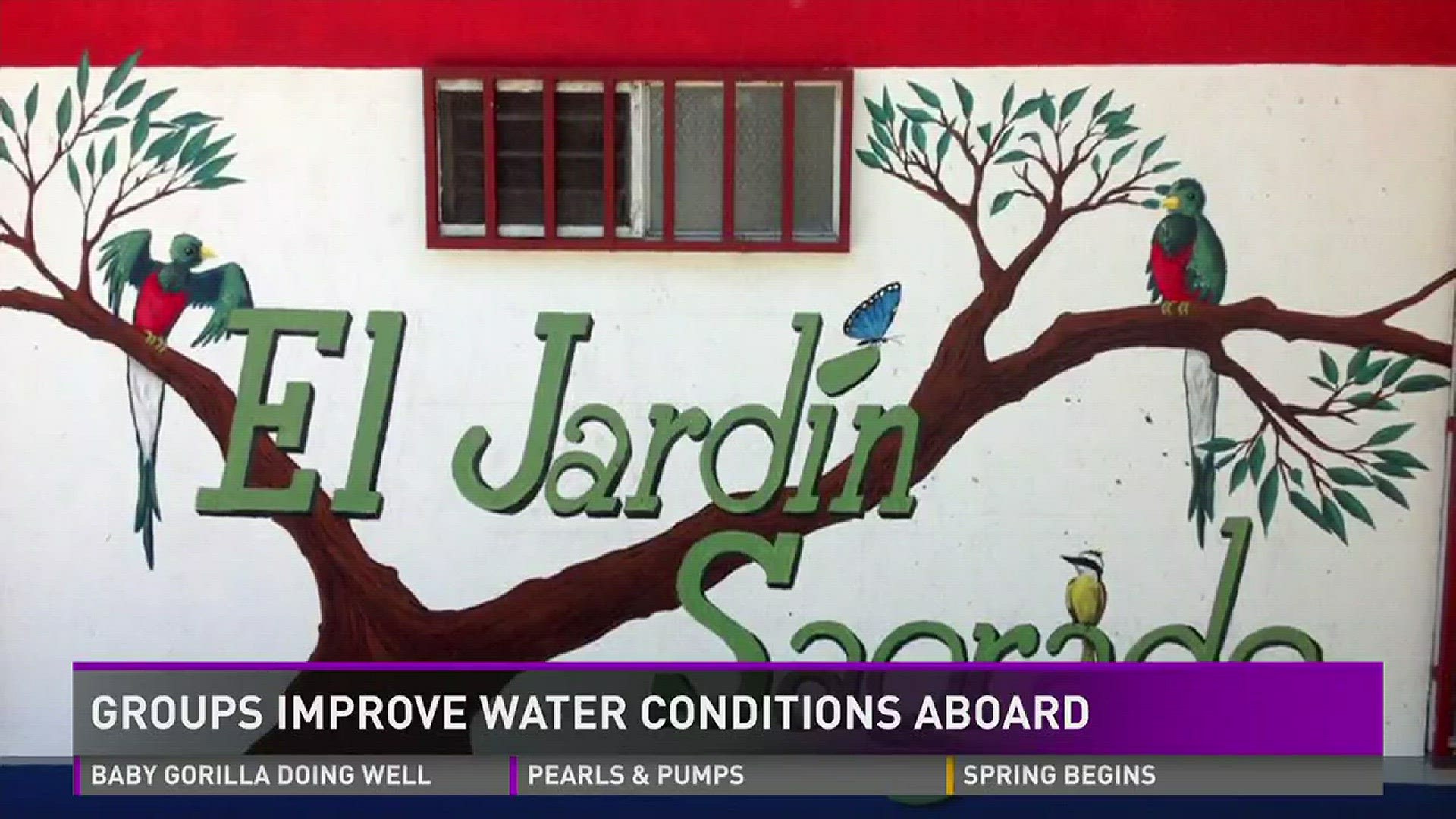 WaterStep & MSD Group returns from Costa Rica | whas11.com