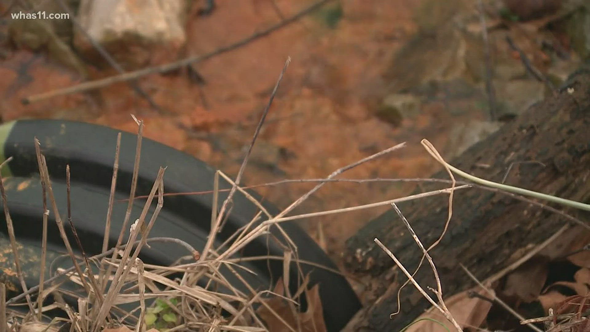 Orange slime in Turkey Creek not dangerous, officials say | whas11.com
