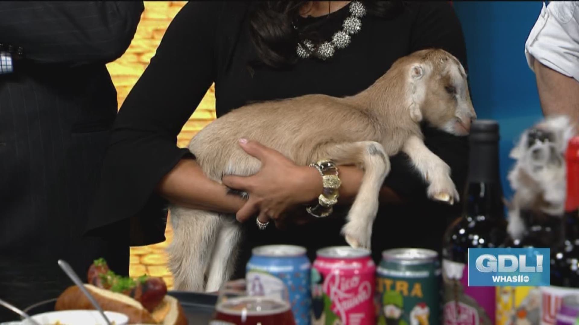 NULU Bock Fest is all about the goats | whas11.com