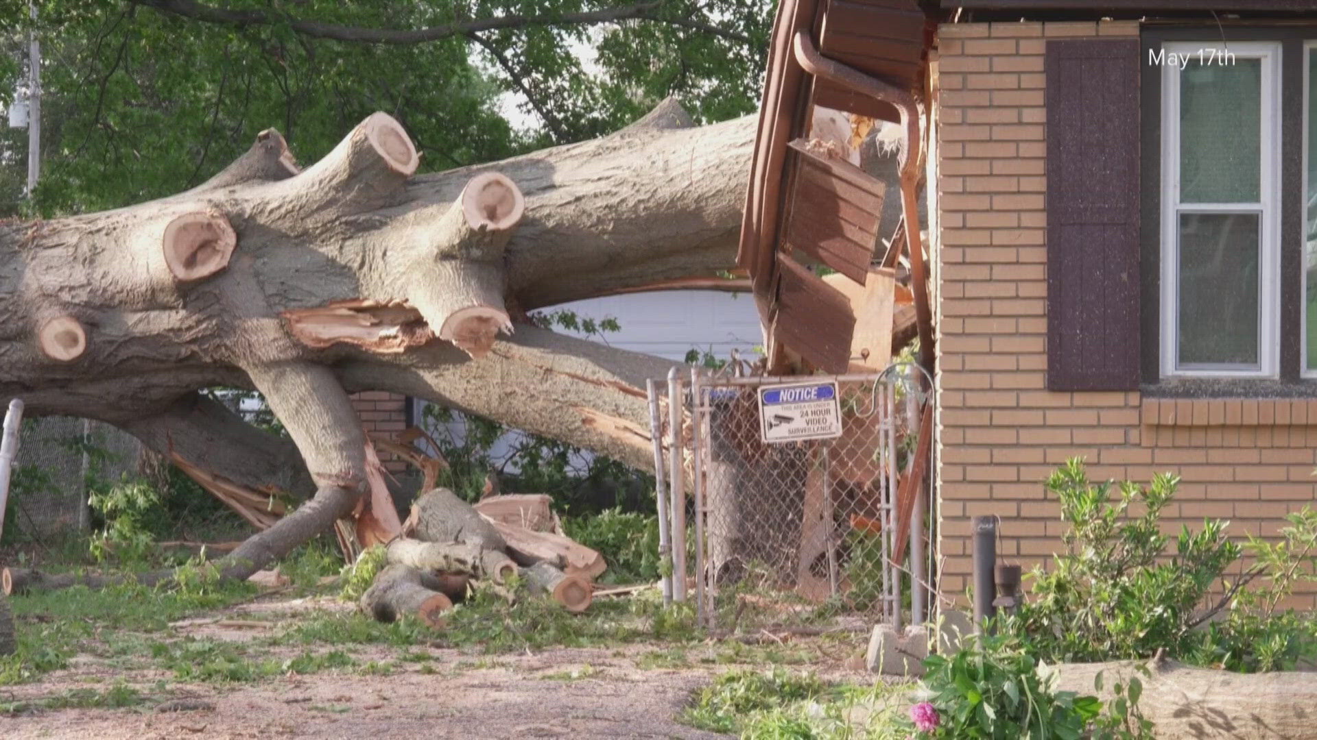 Kentucky man grateful to be alive after tree falls on home | whas11.com