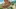 Kentucky Kingdom prepares for summer season with ticket deals | whas11.com