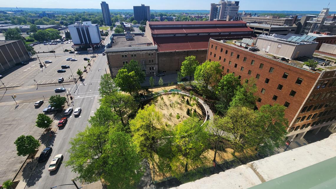 New microforest in downtown Louisville opens to the public | whas11.com