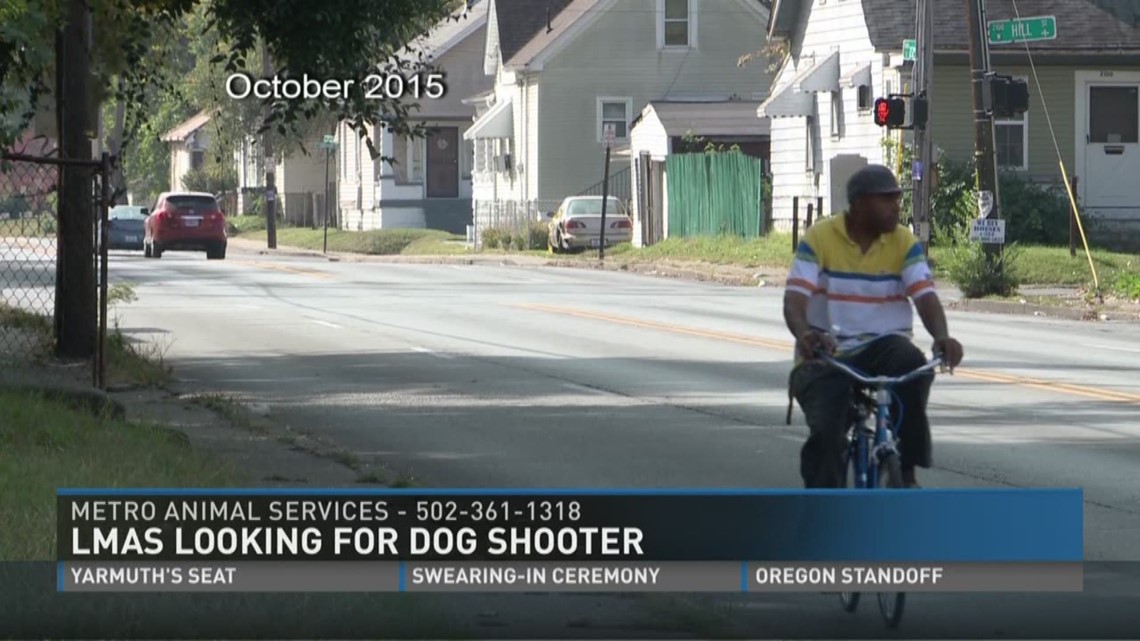 LMAS looking for dog shooter | whas11.com