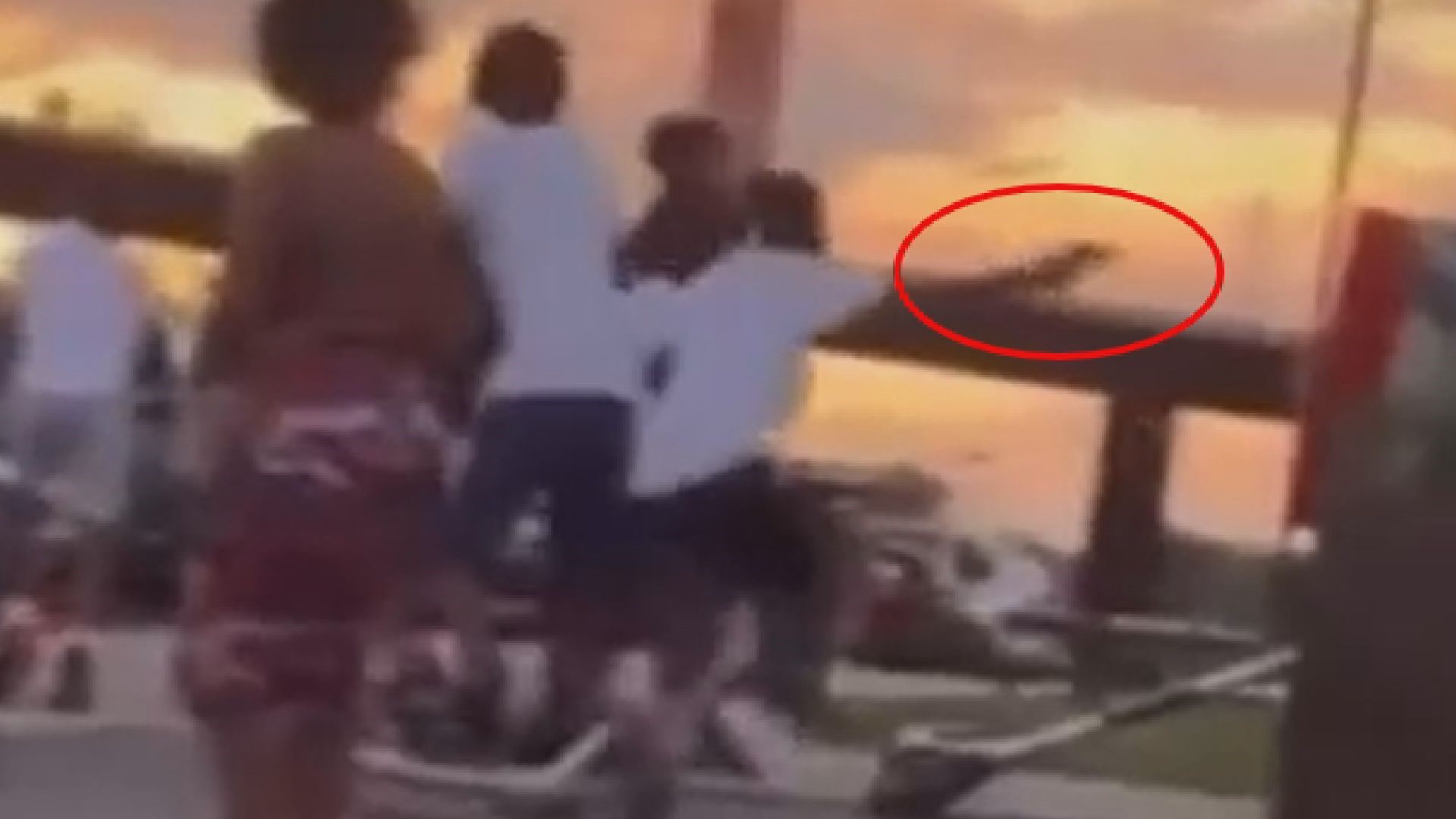 Blake Walker killed his parents, now he's free after Bevin pardon ...