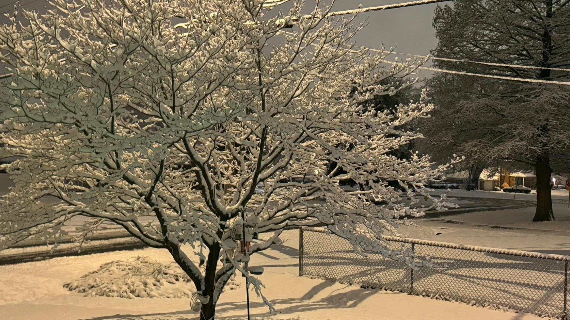 PHOTOS: Viewer photos of first snowfall of the season in Kentucky ...