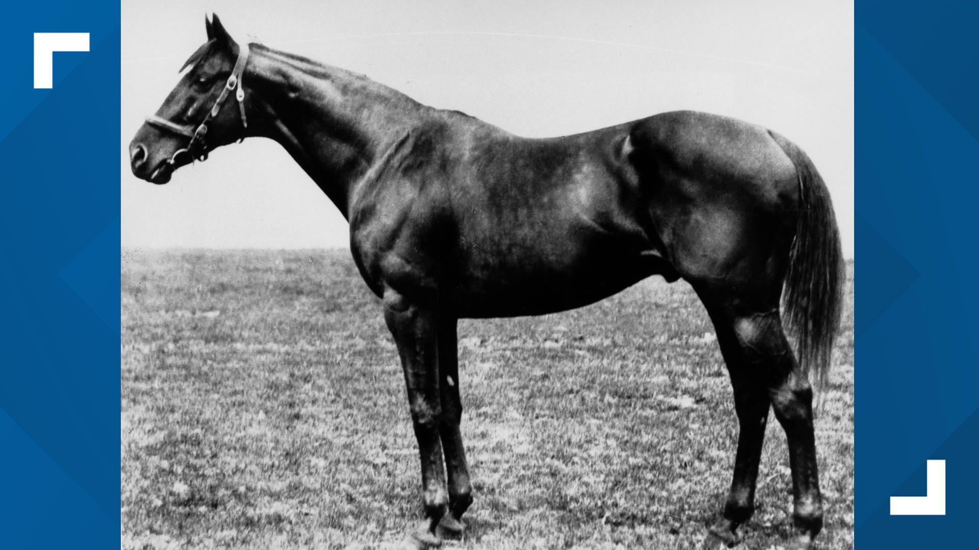How many Triple Crown winners have there been? | whas11.com