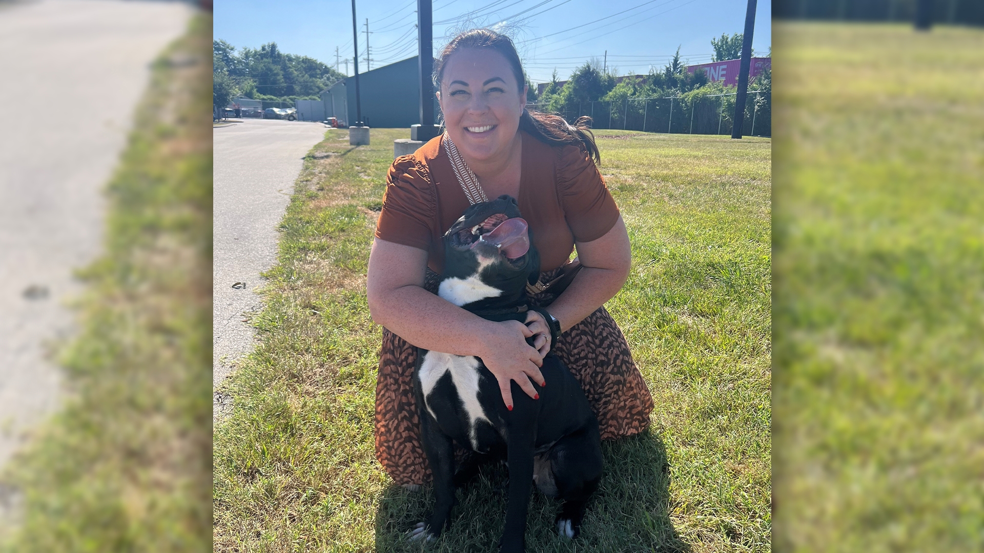 Sweet 1-year-old dog looking for home at LMAS | whas11.com