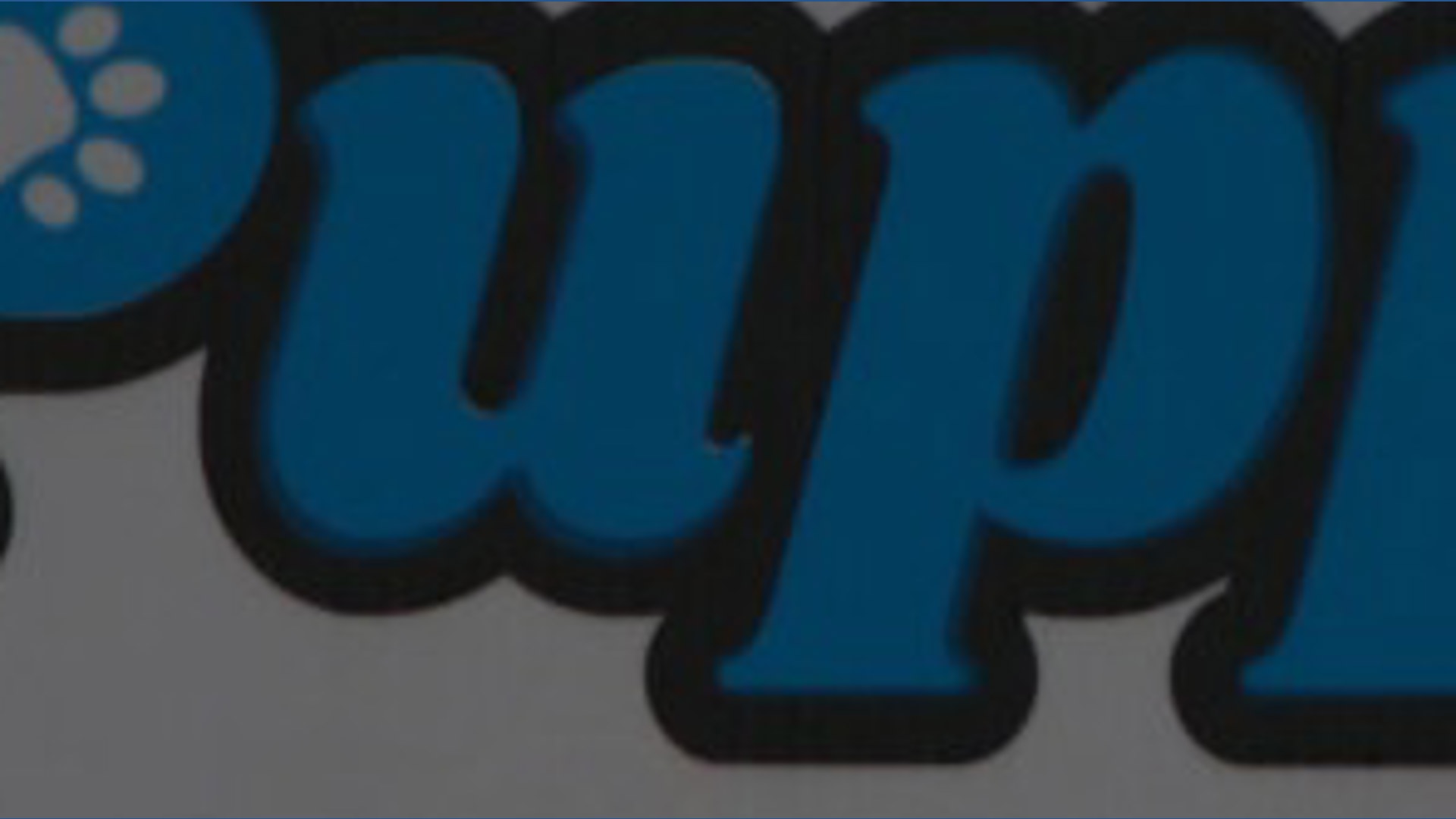 Puppygram CEO responds to concerns | whas11.com