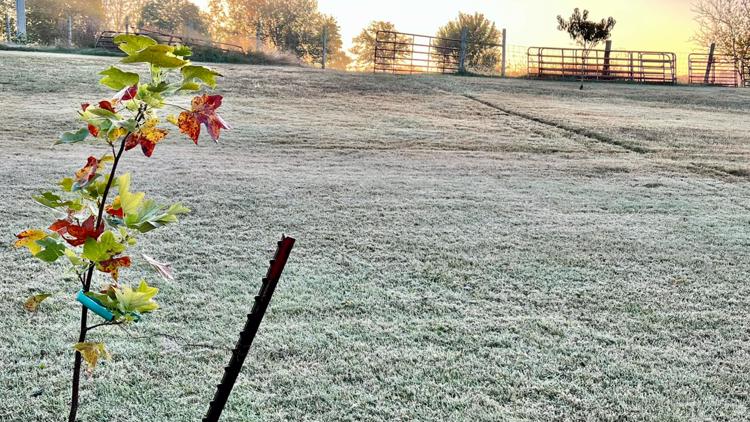 LG&E outage map | Here are the power outages in Kentucky | whas11.com