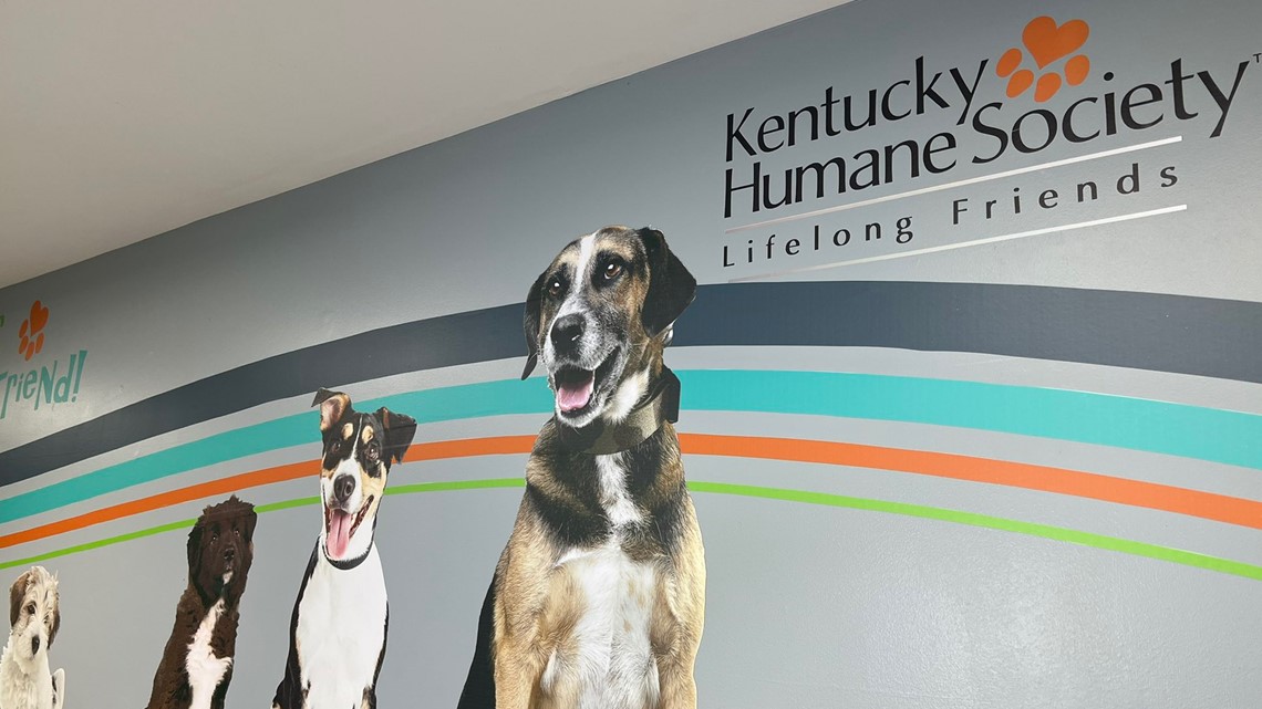 Kentucky Humane Society, WHAS11 raise $20,000 for animals in need ...