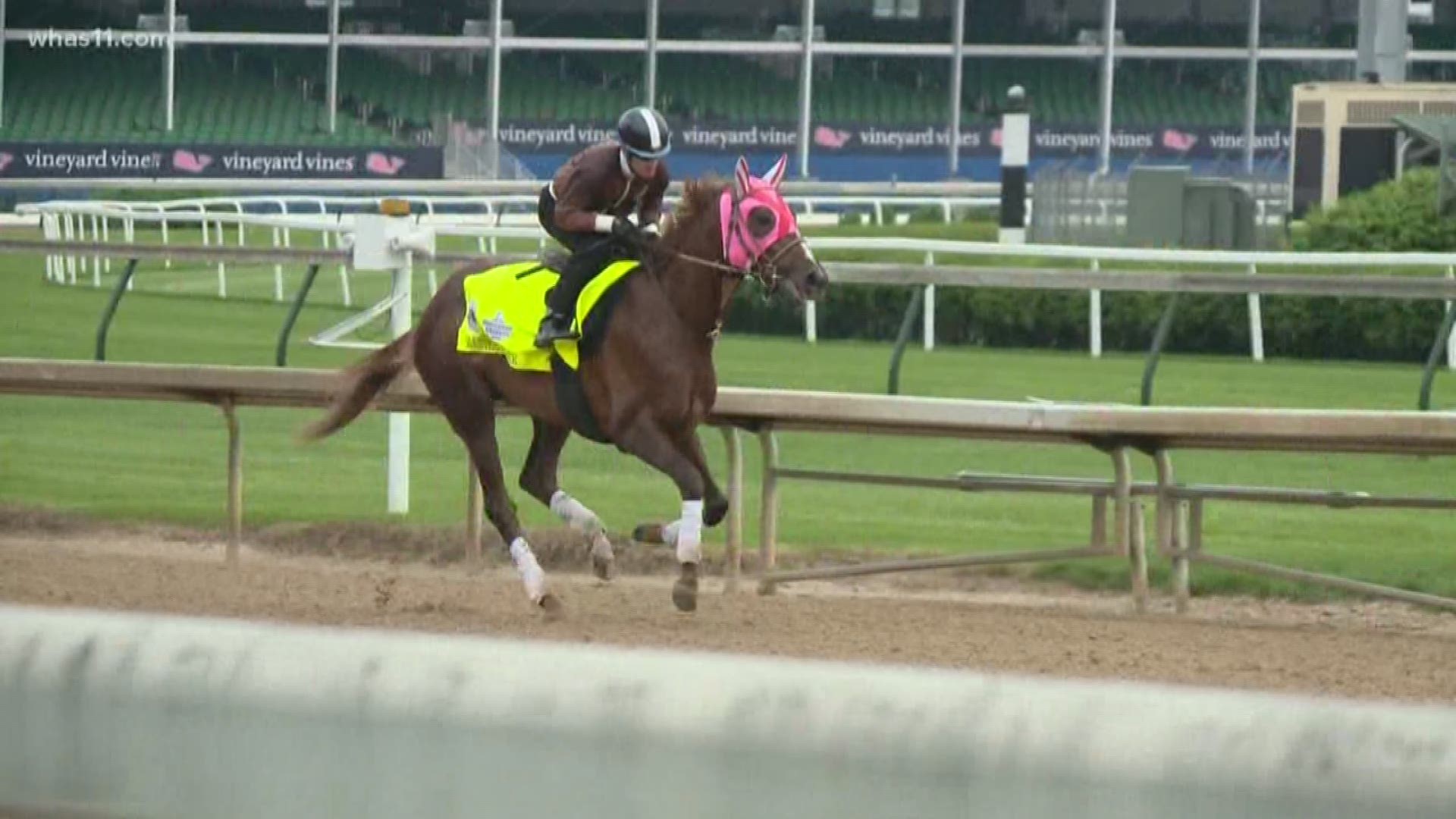 Japan trained Master Fencer qualifies for Derby | whas11.com