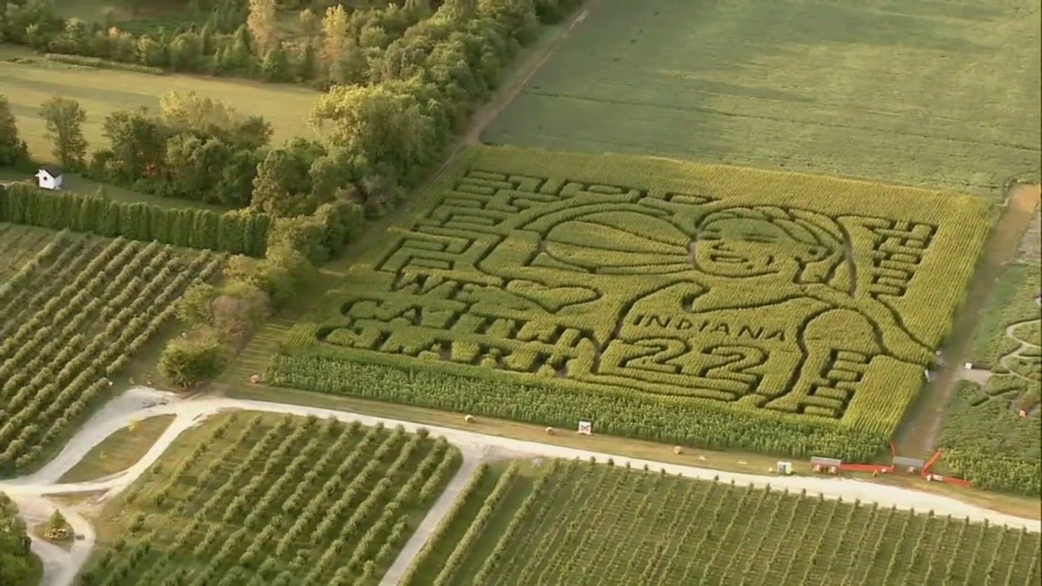 Reasons to Smile: Orchard designs corn maze after Caitlin Clark ...