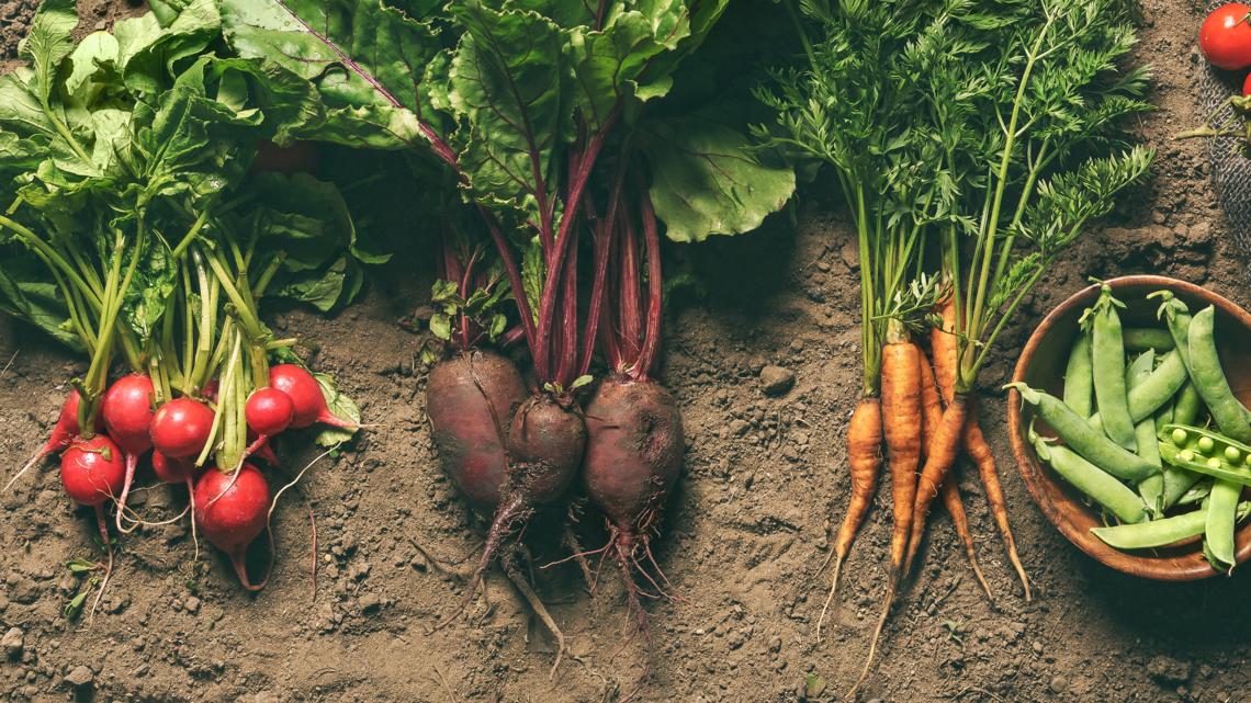 Kentucky Farm Fresh Days highlights locally grown ingredients | whas11.com