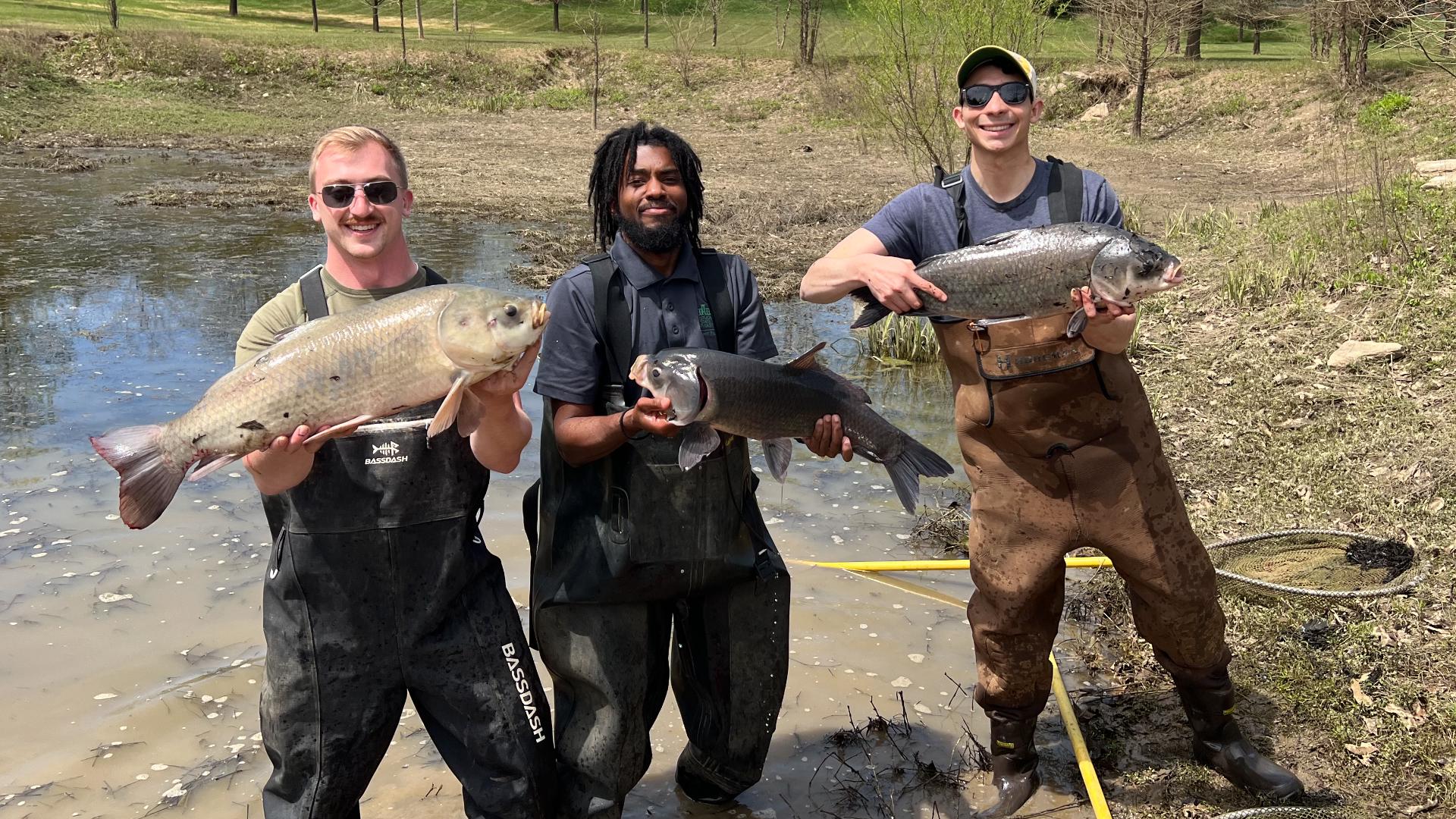 KSU students rescue fish from floodwaters around Buffalo Trace | whas11.com