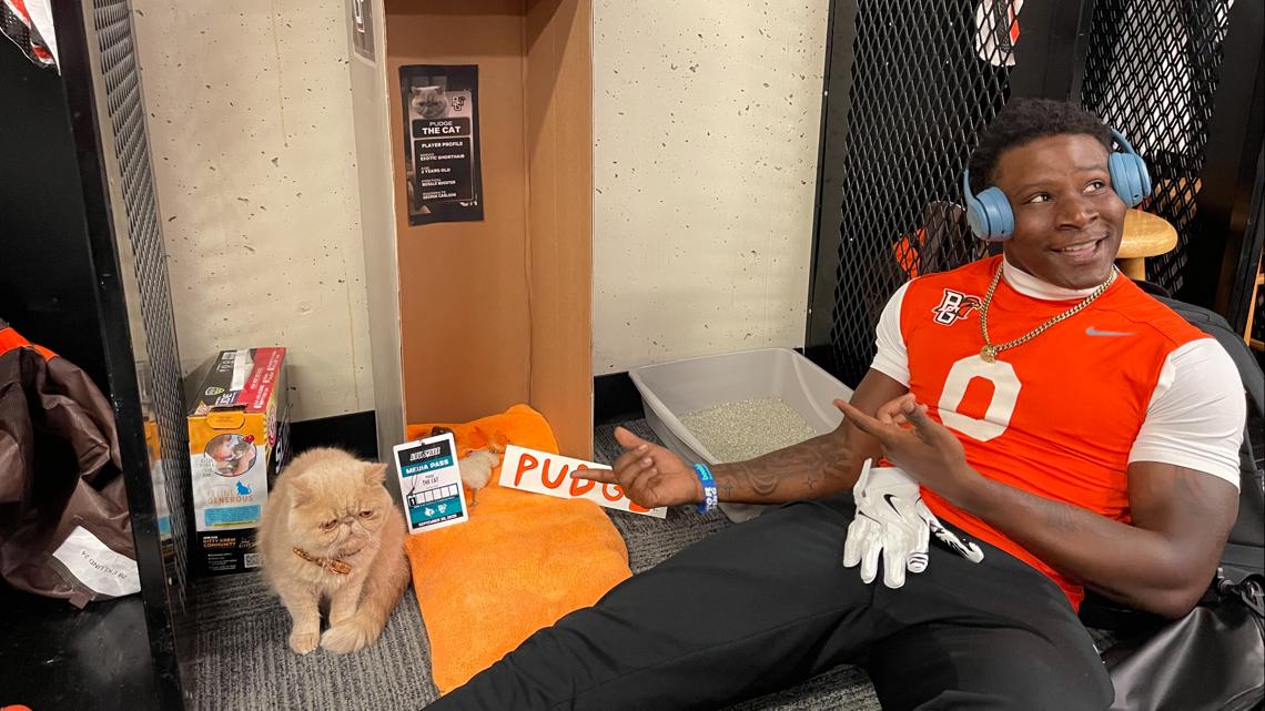 Louisville welcomes BGSU's Pudge the cat in style | whas11.com