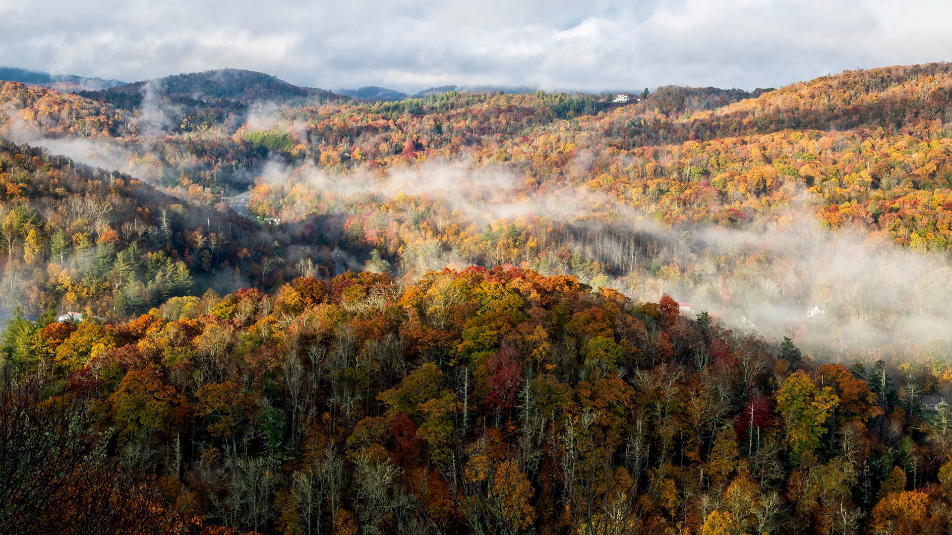 PHOTOS | 2021 Fall colors in Grandfather Mountain | whas11.com