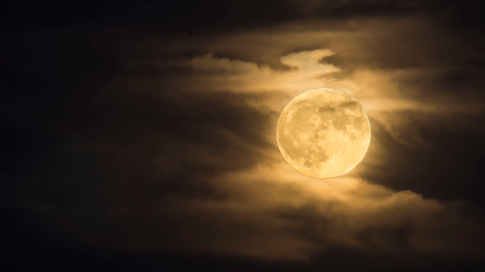 Super Blue Moon seen over Kentucky, southern Indiana | PHOTOS | whas11.com