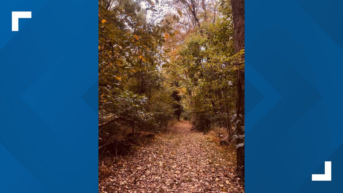 Best times, places to see fall leaves in Kentucky, Indiana | whas11.com