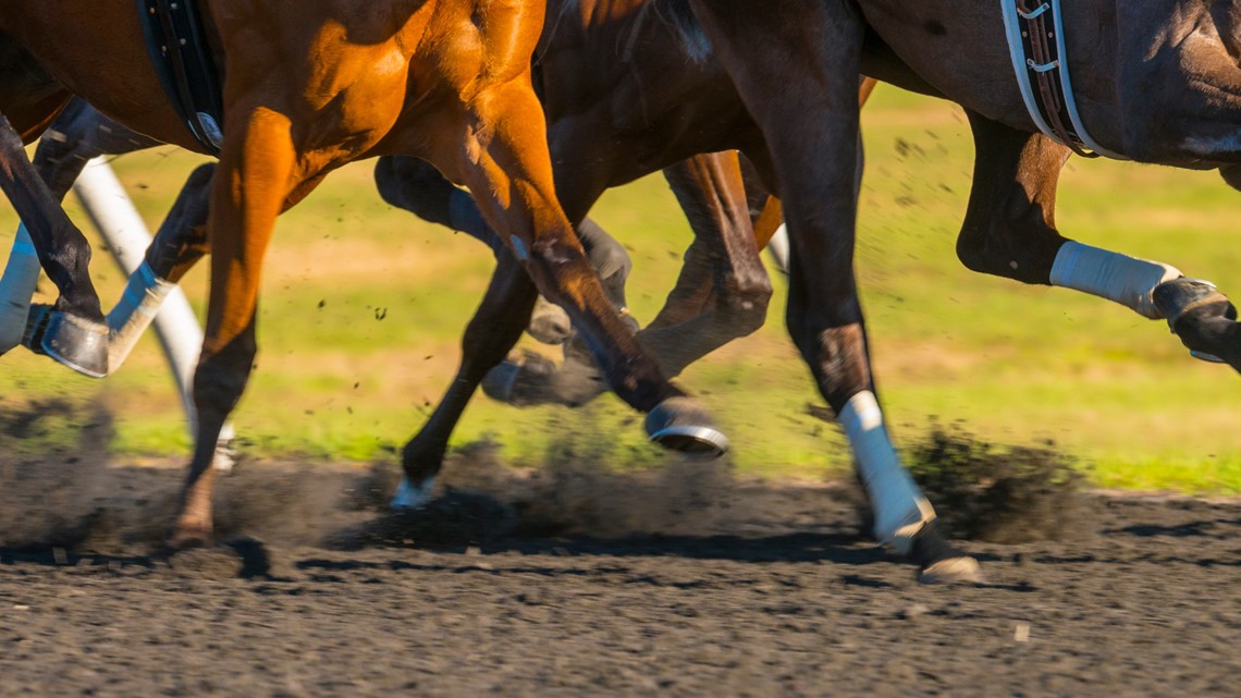 Tapit Trice wins Tampa Bay Derby | whas11.com