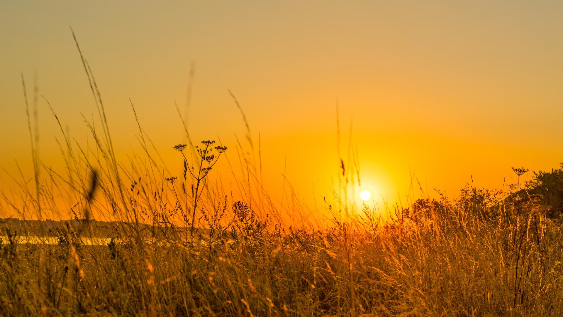 When is the first day of summer? | Summer Solstice facts | whas11.com