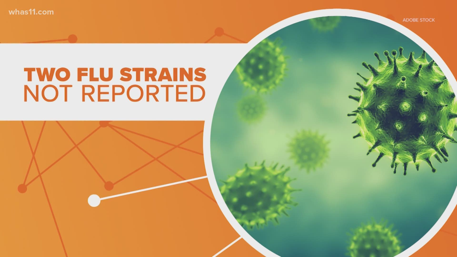 Some flu strains may have gone extinct during COVID-19 pandemic, report ...