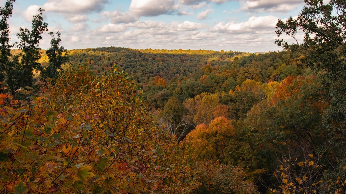 Judge: LG&E can seize land from Bernheim forest for new pipeline ...