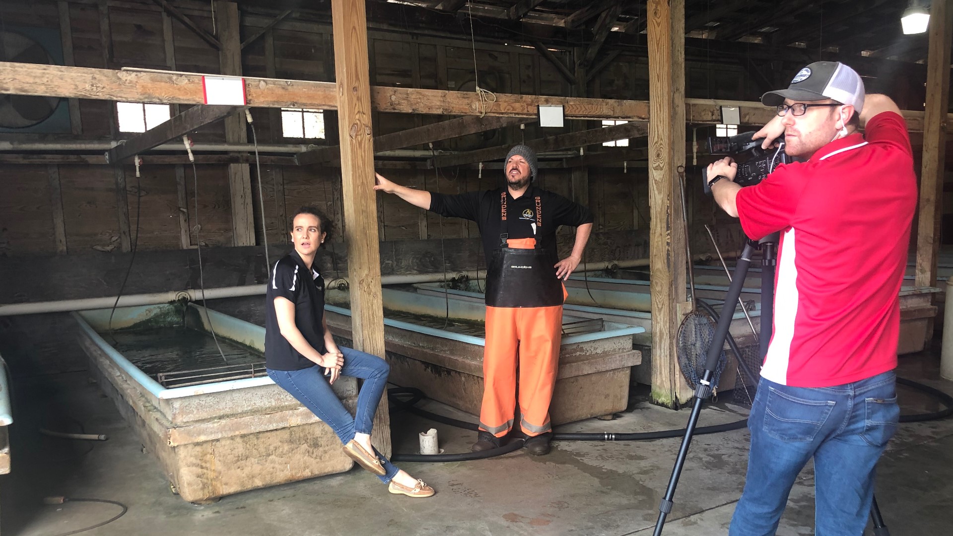 This Kentucky fish market is producing 'America's Best' caviar | whas11.com