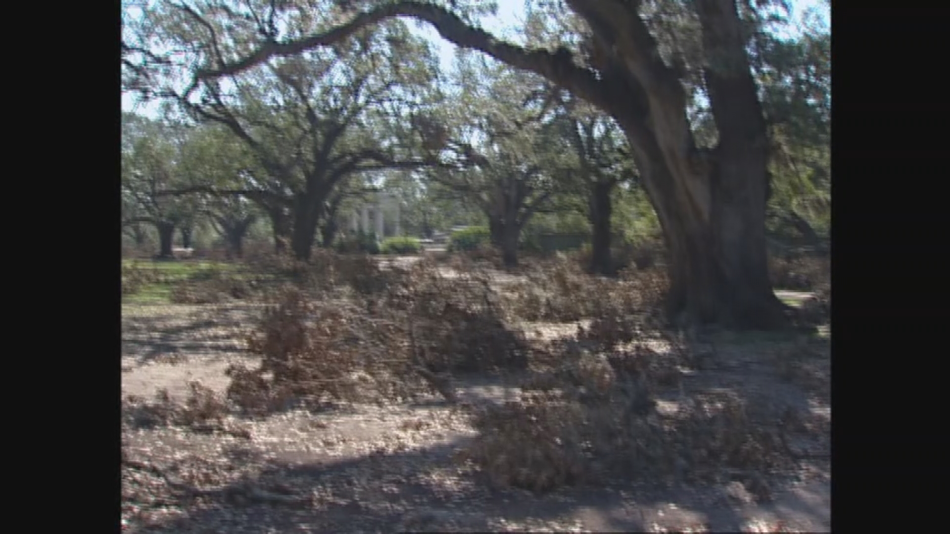 Louisville Zoo director reflects on Hurricane Katrina's impact | whas11.com