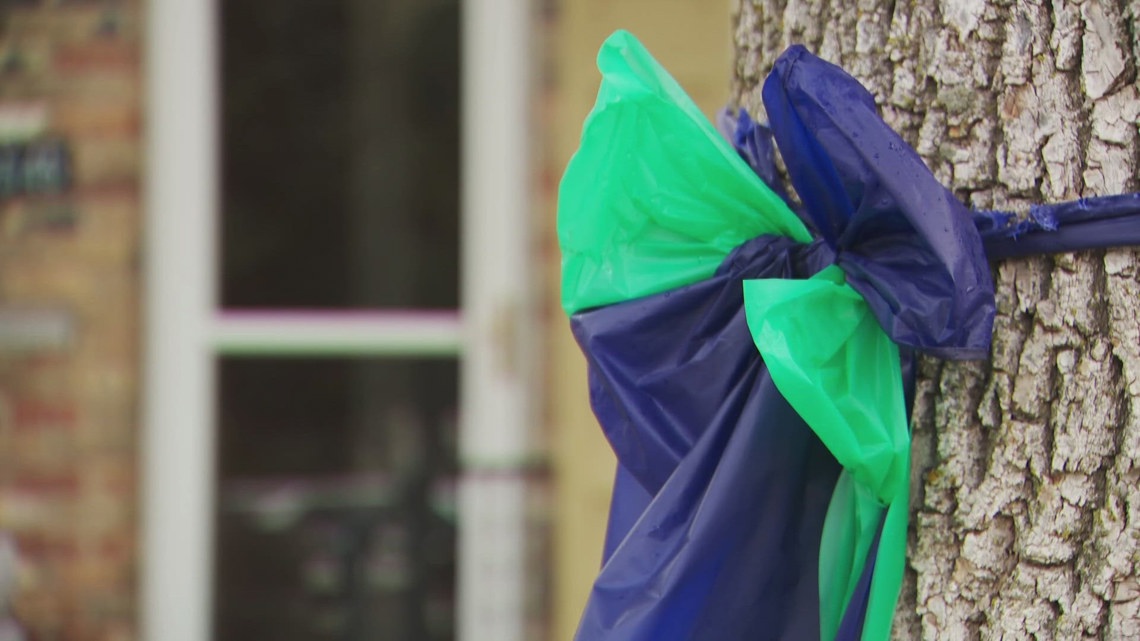 Volunteers tie ribbons around trees to honor victims of Minneapolis ...
