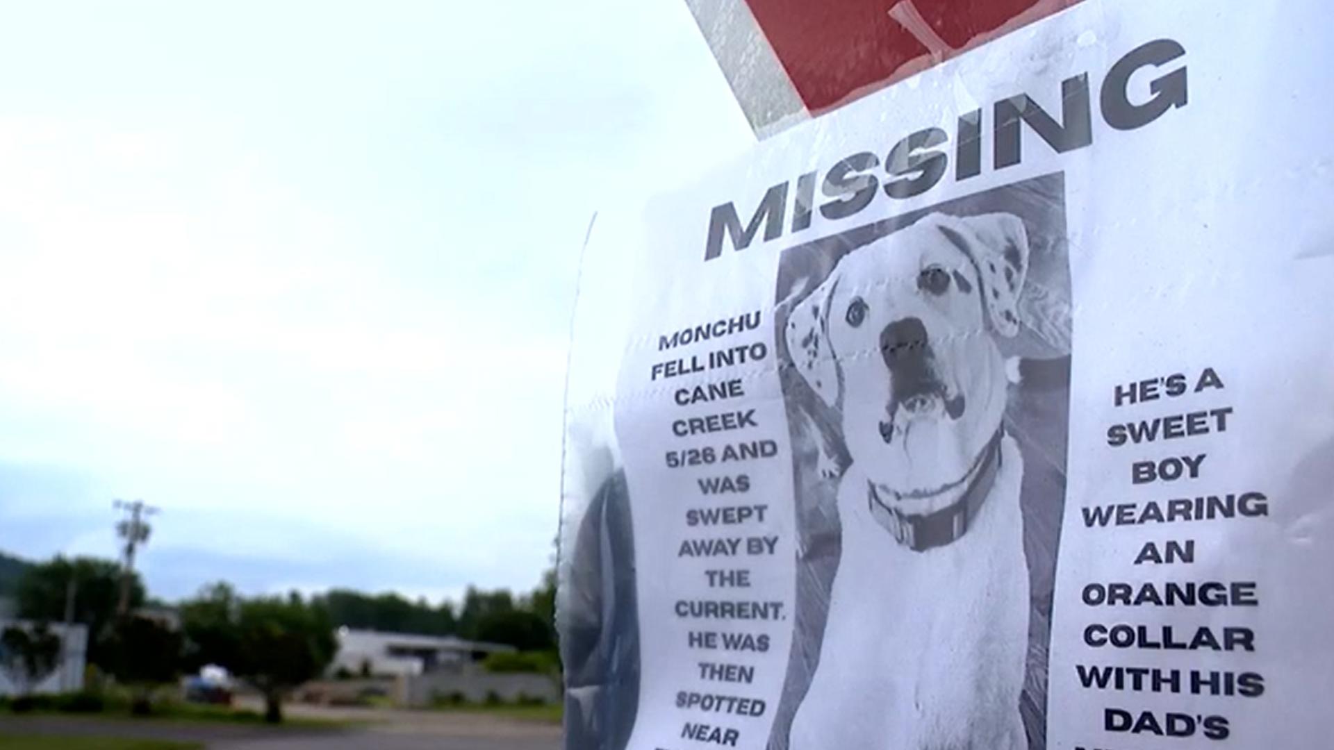 Flood-swept dog reunited with owners after rescue | whas11.com