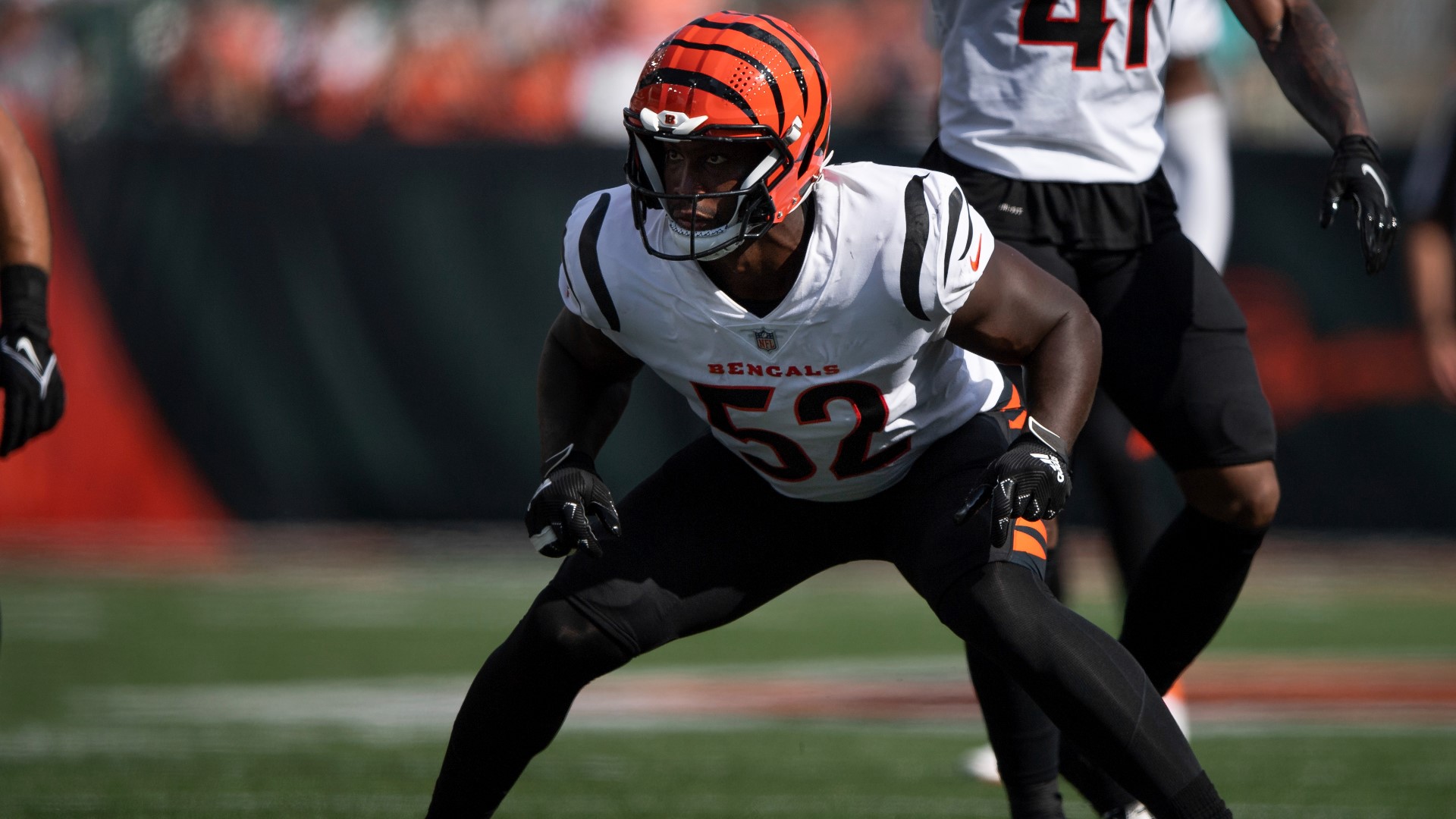 Bengals, Rams players who played college football in Kentucky | whas11.com