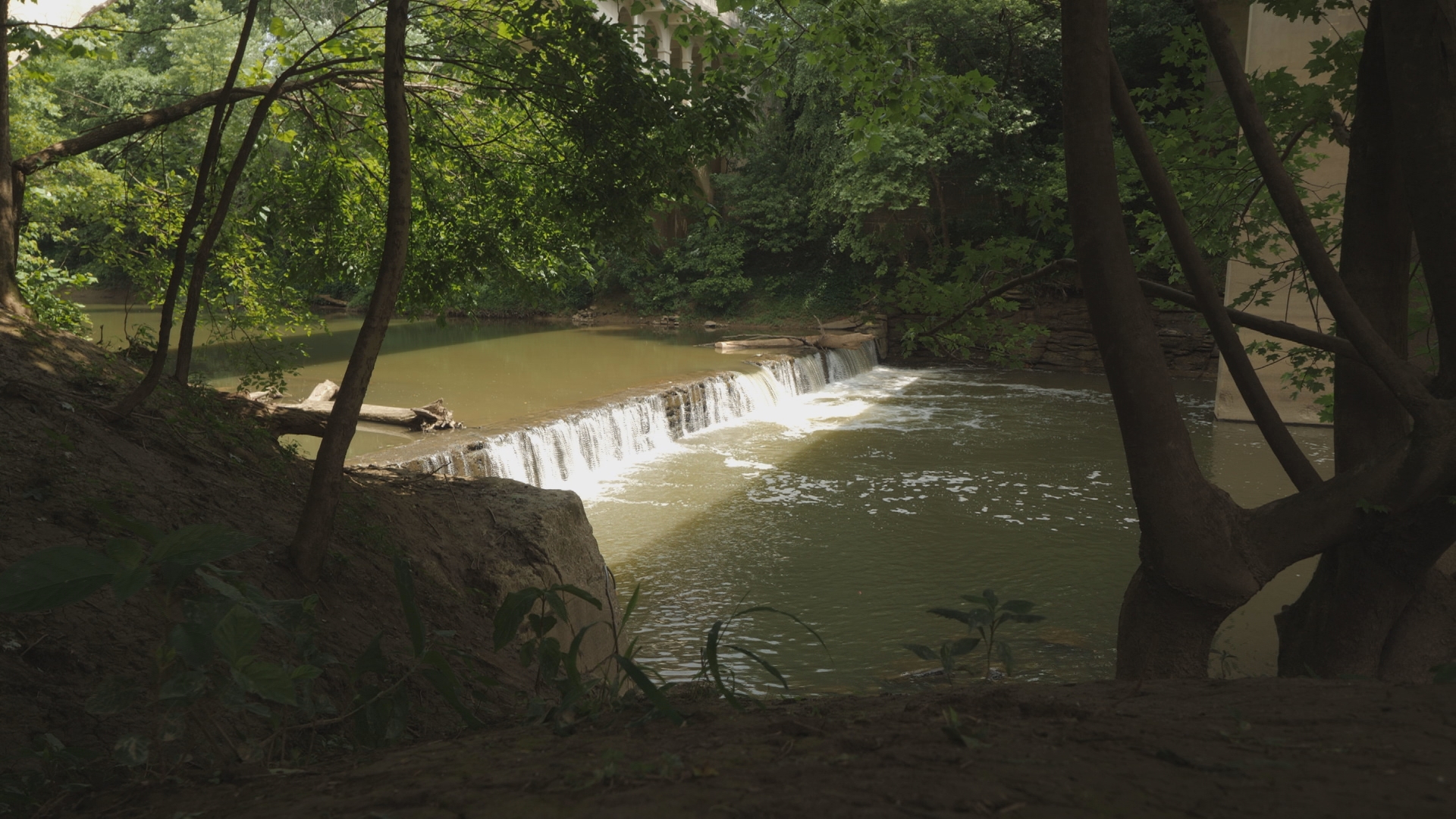 Indiana family calls for removal of dam after boy drowns | whas11.com