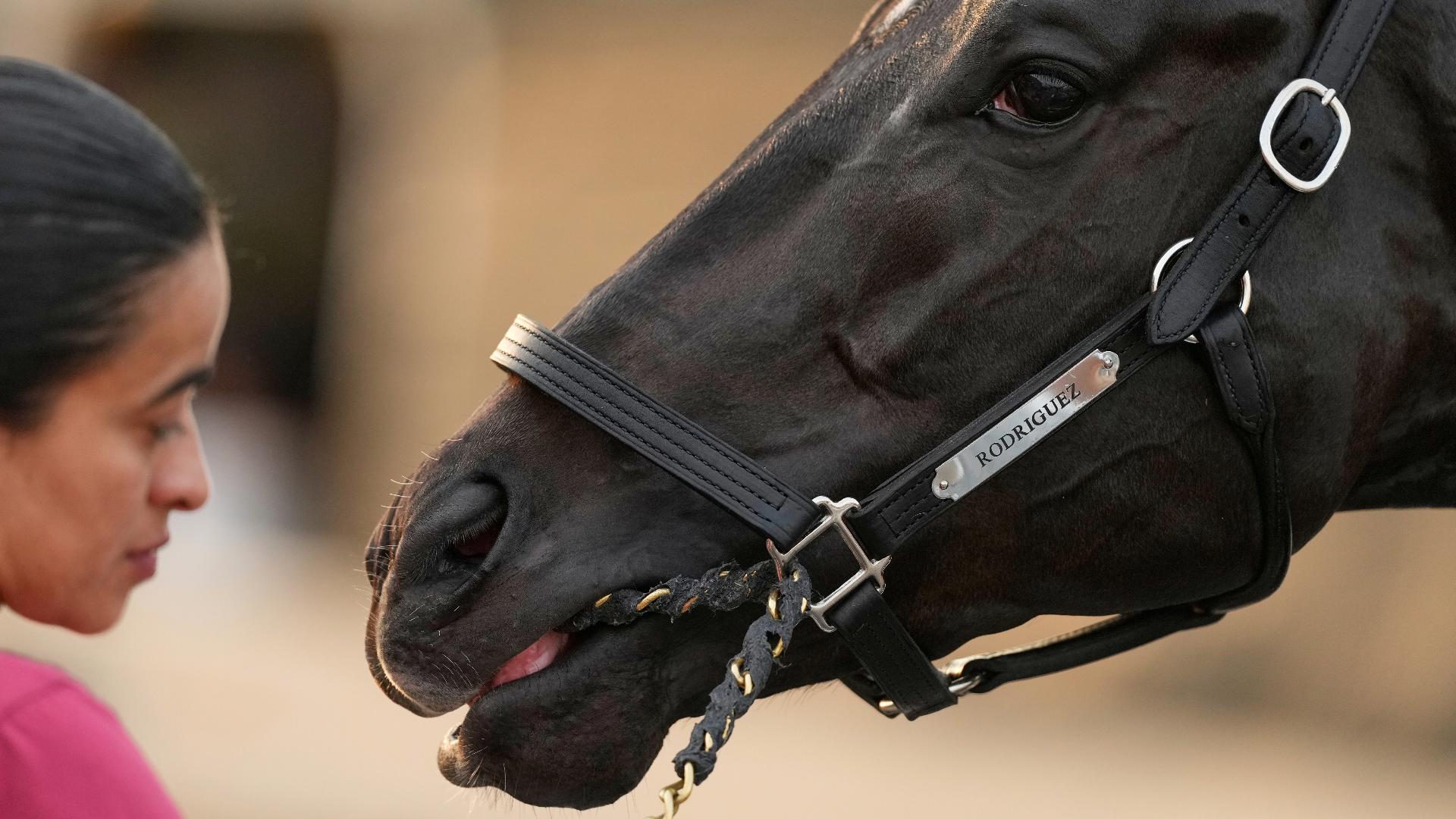 List of Kentucky Derby horses 2025 | Post positions, favorites and ...