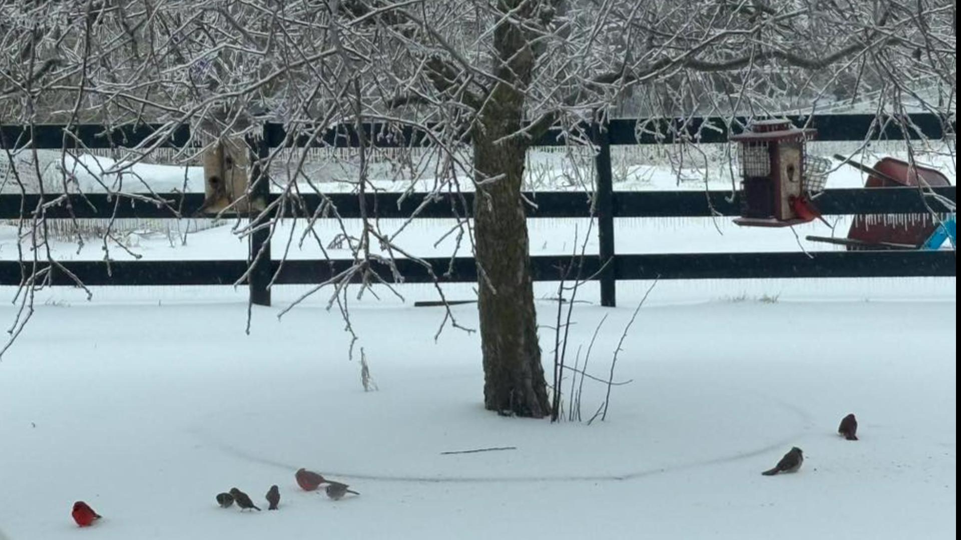 YOUR PHOTOS: Kentuckiana wrapped in winter magic | whas11.com