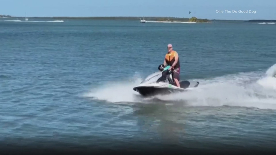 Paws on a mission: Ollie the 'Do Good Dog' hits the water | whas11.com