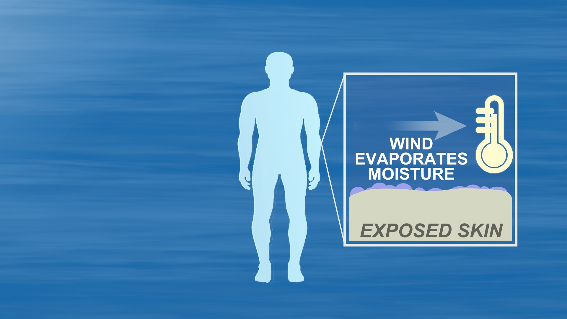 Polar vortex bringing arctic blast to Louisville and southern Indiana ...