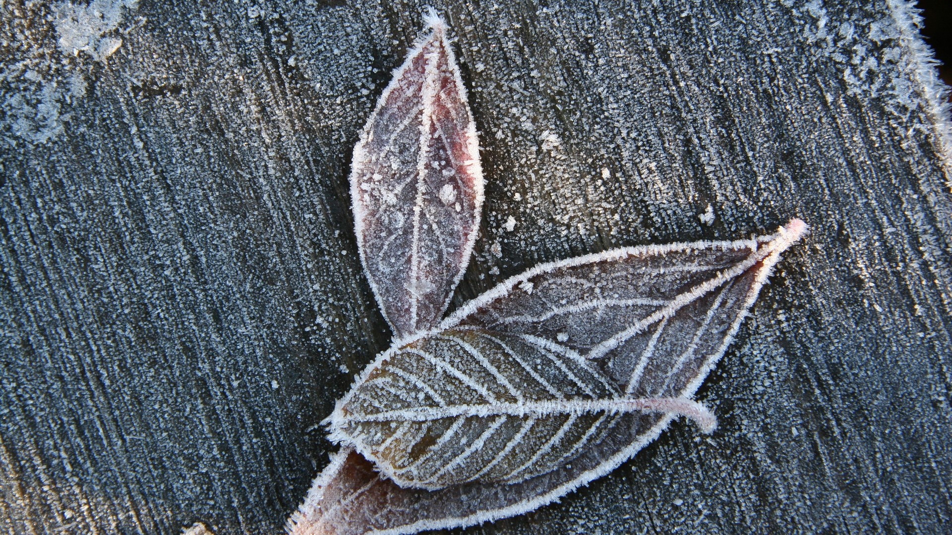 Weather Smart | whas11.com