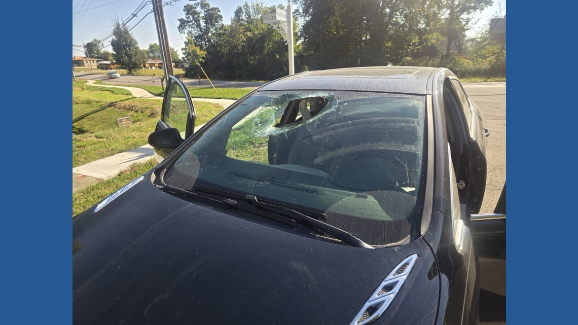 Louisville gangs; What the FBI knows on Metro gang-related crime ...